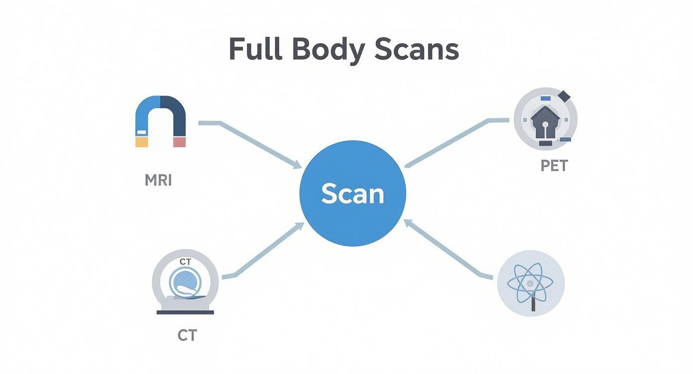 Your Guide To Full Body Scan Procedures