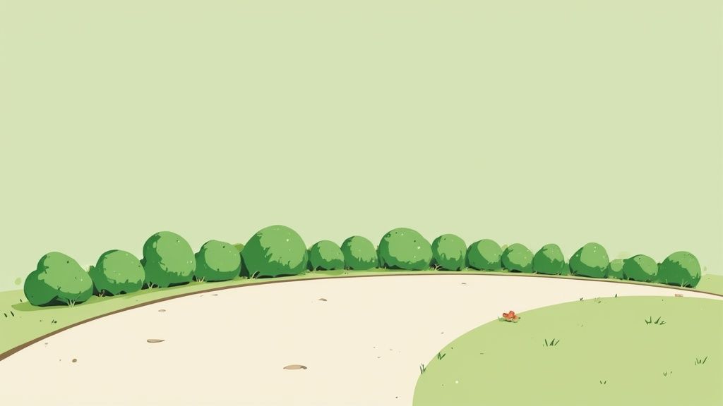 10 Inspiring Backyard Border Ideas for Atlanta Landscapes in 2025