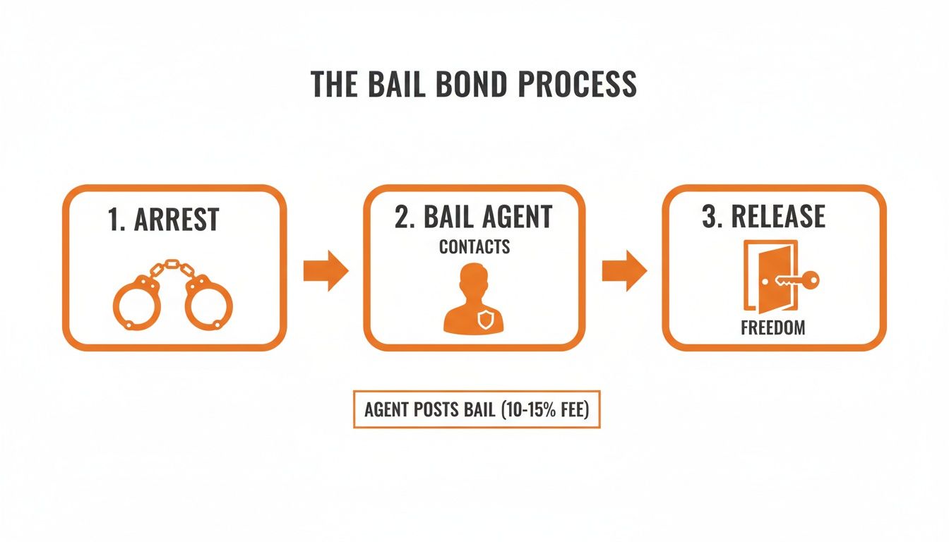 What Is a Bail Bond Agent and How Do They Help – bailbondscherokee