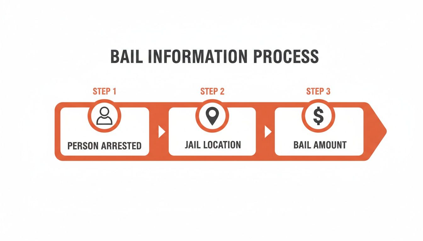 A Guide to Paying Bail Bonds Online in Forsyth County, GA