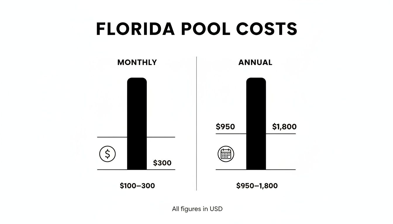 Average Cost Of Maintaining A Pool: A Practical Budget Guide - Rescreen ...