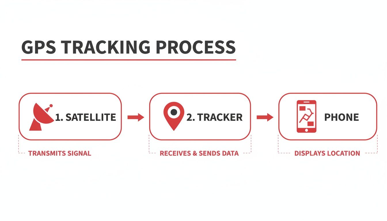 How Does a GPS Tracker Work: A Detailed Guide to Vehicle Security