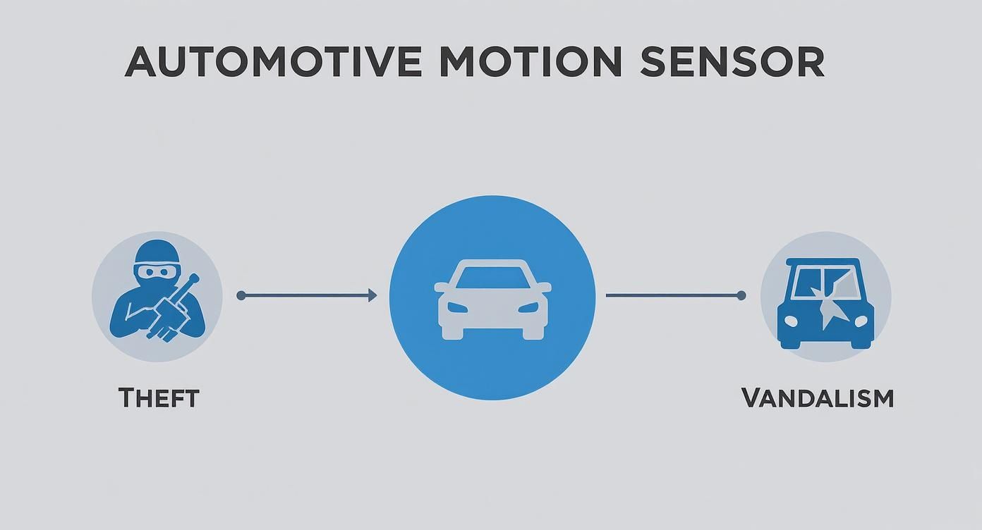 Your Car's Digital Watchdog: An Automotive Motion Sensor Guide