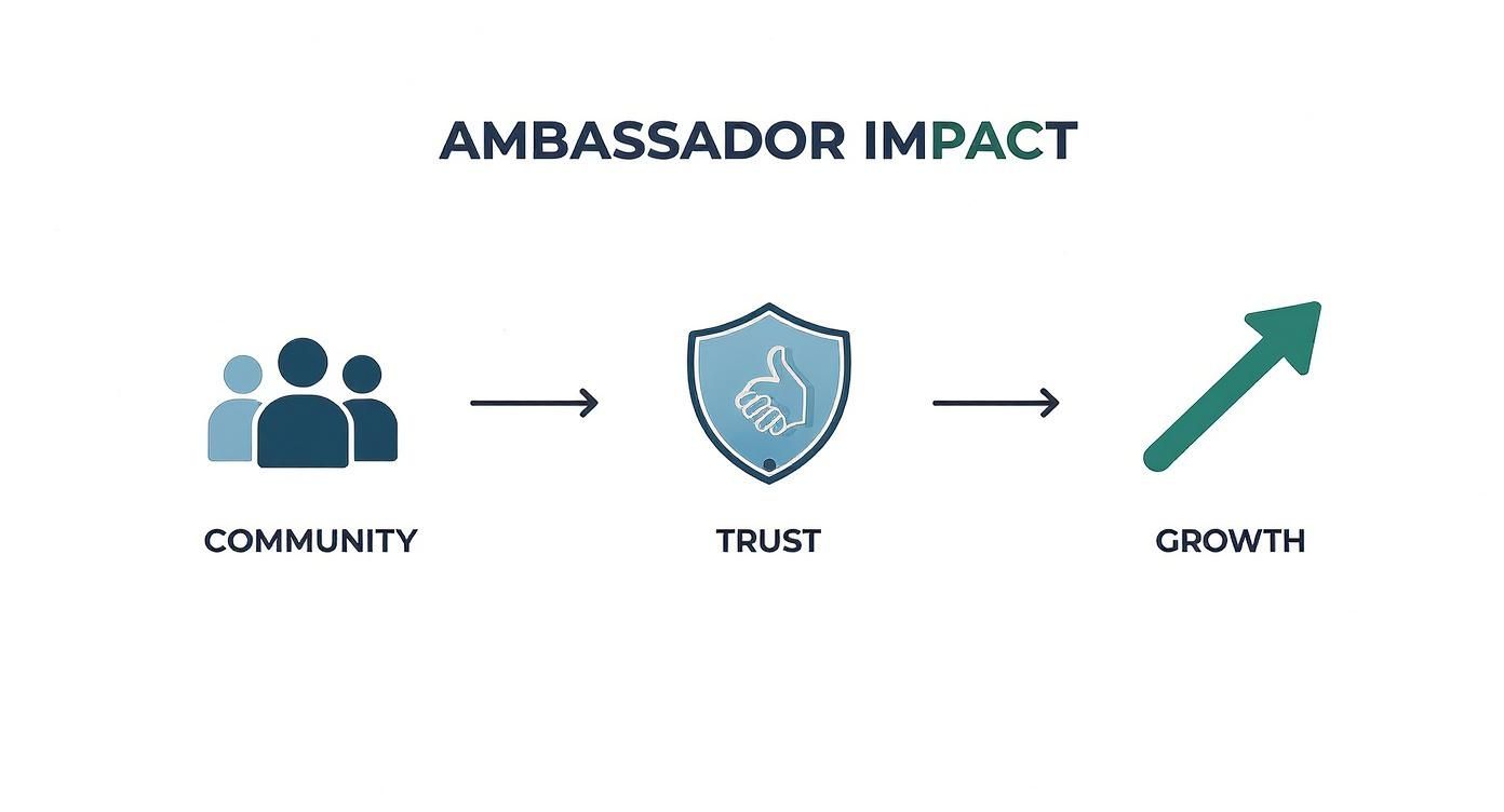 Build a Standout student ambassadors programs | MarCom Society Blog