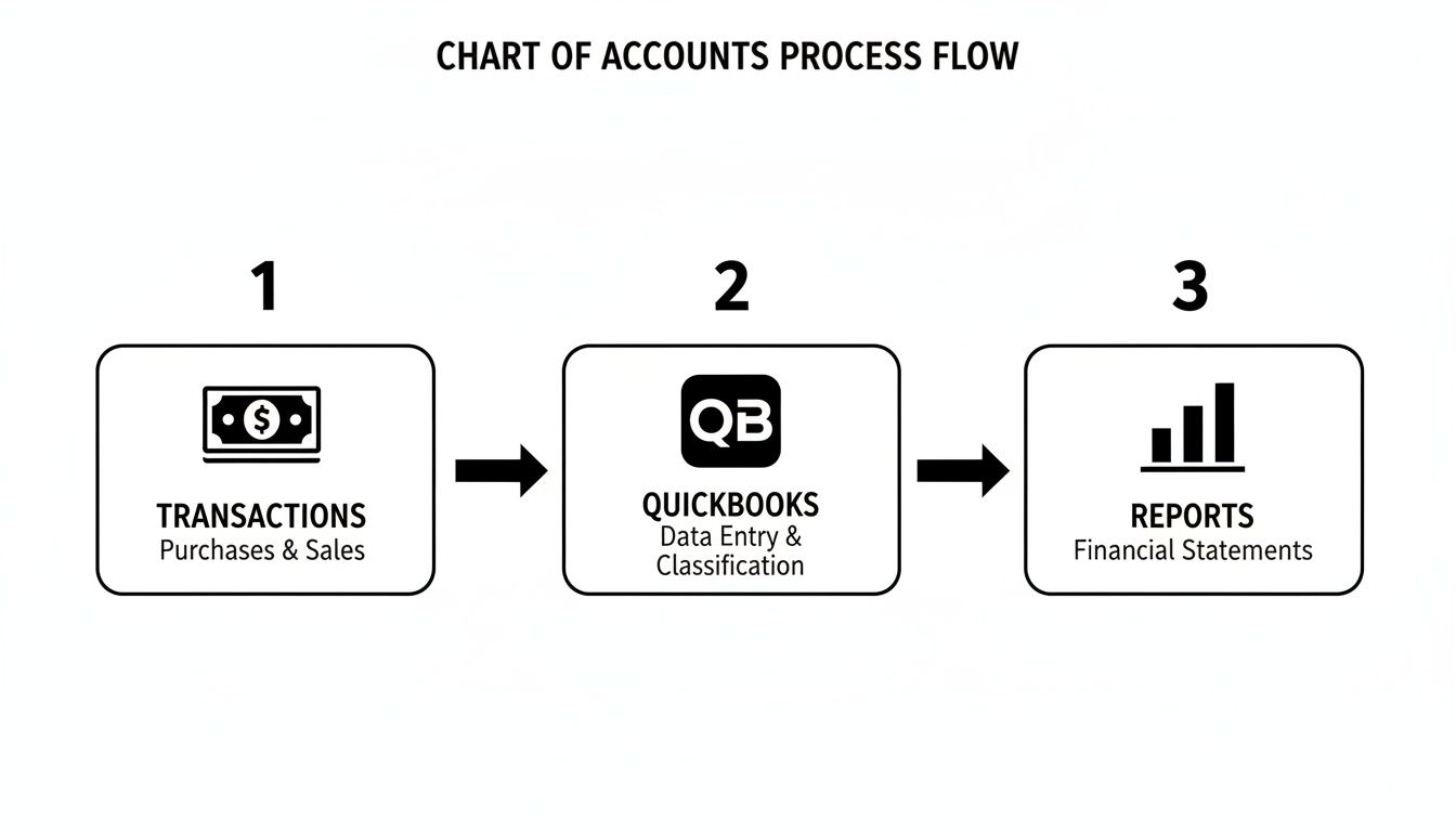 Mastering the Chart of Accounts in QuickBooks A Practical Guide