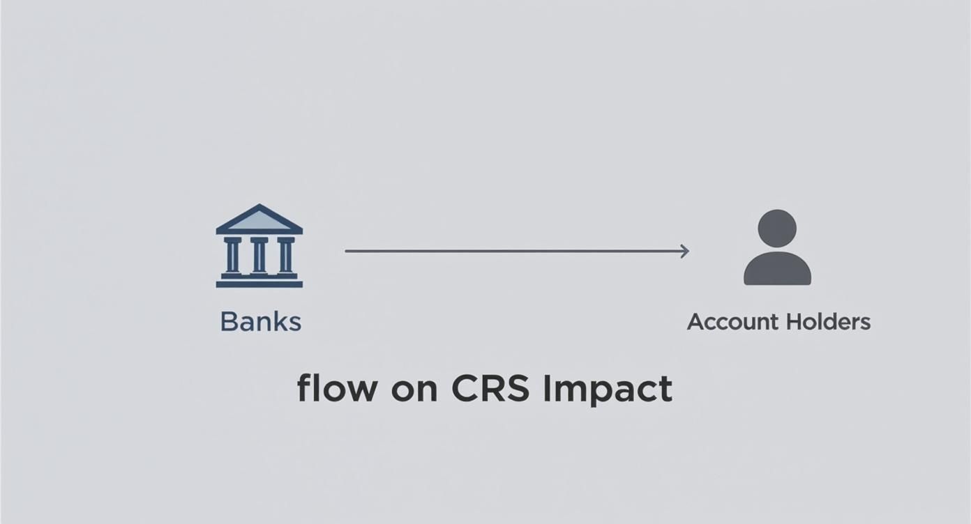 What is Common Reporting Standard - Endurego