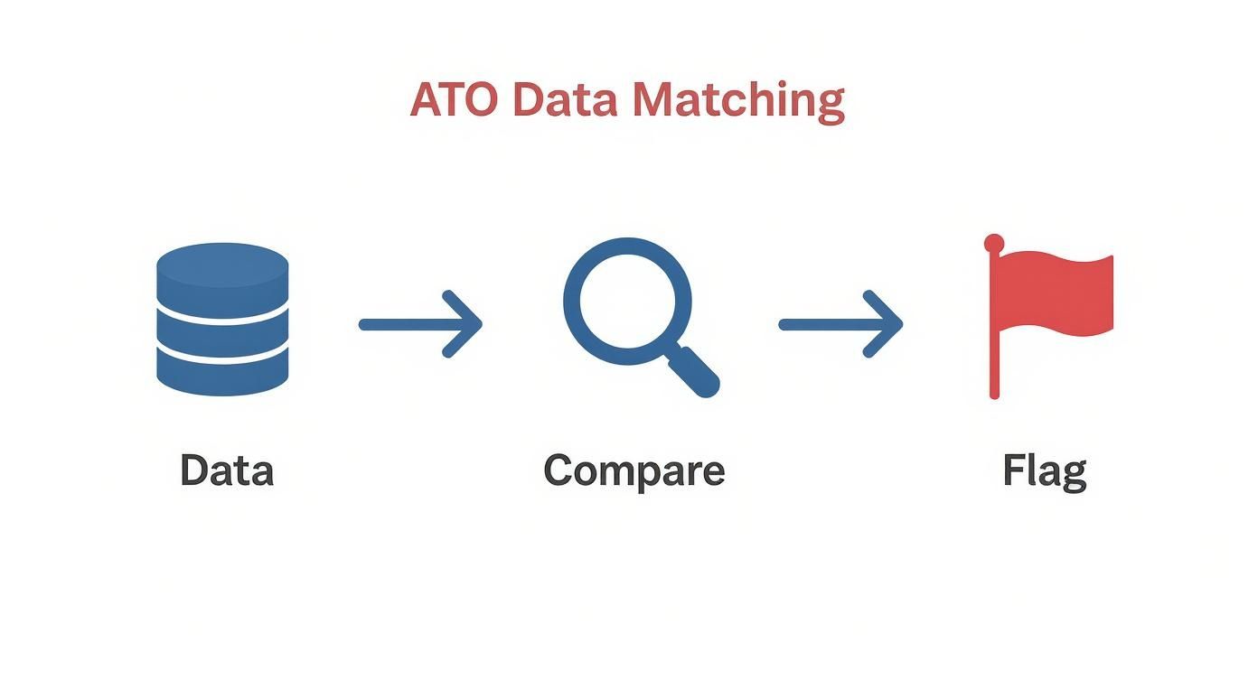 Surviving an ATO Audit - Endurego