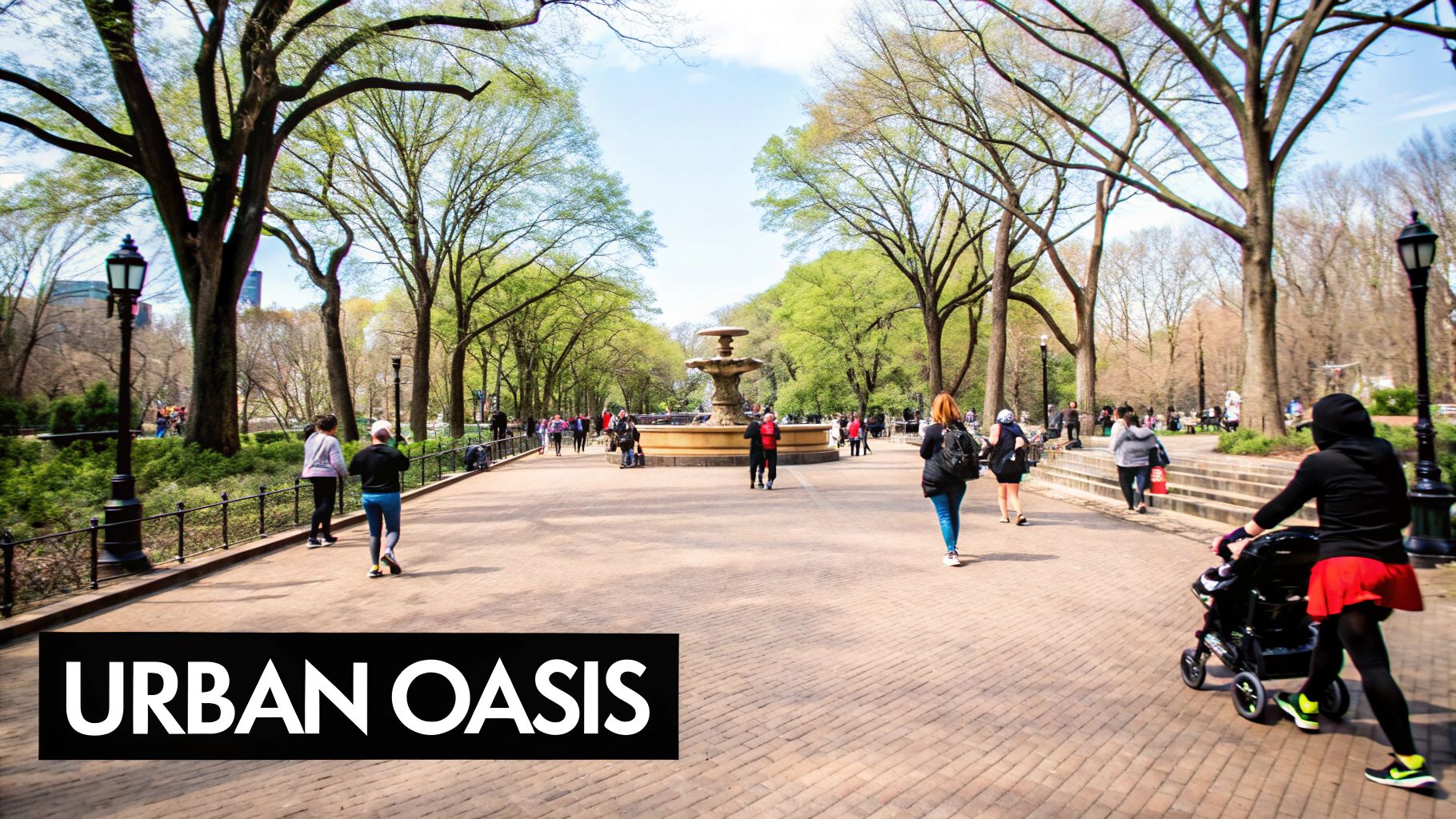 Discover 10 Top Parks and Walking Trails Near Me in 2025 - Edinhart ...