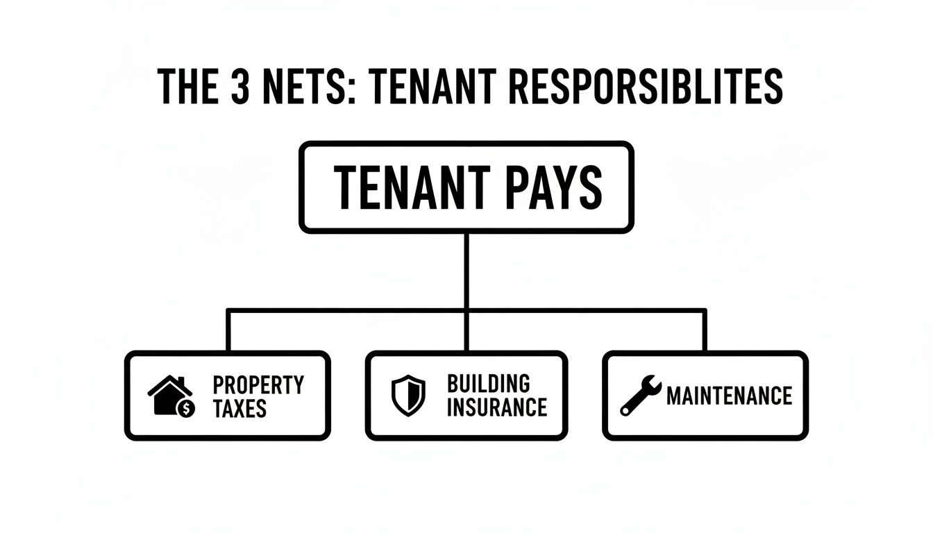 What Is a Triple Net Lease? Your Guide to NNN Investing - Edinhart ...