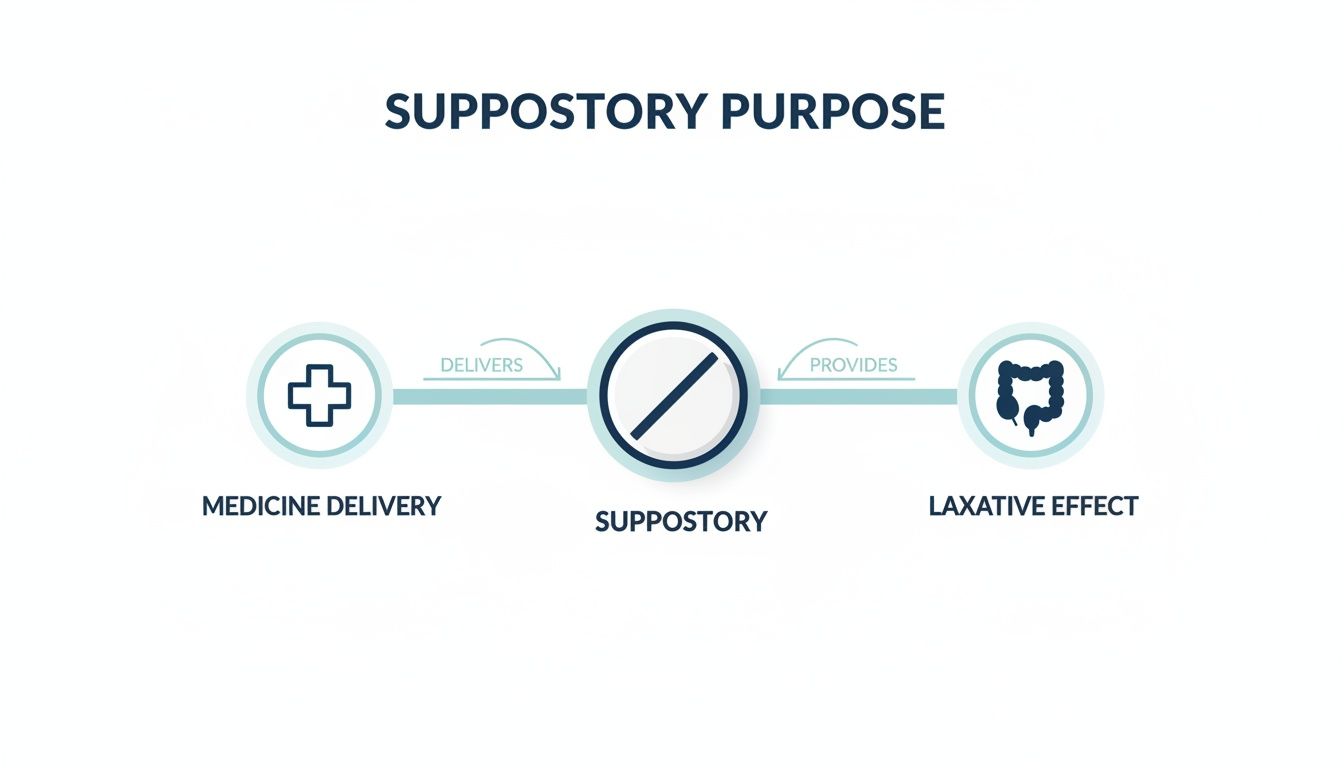 Does a Hemorrhoid Suppository Make You Poop? The Truth Revealed