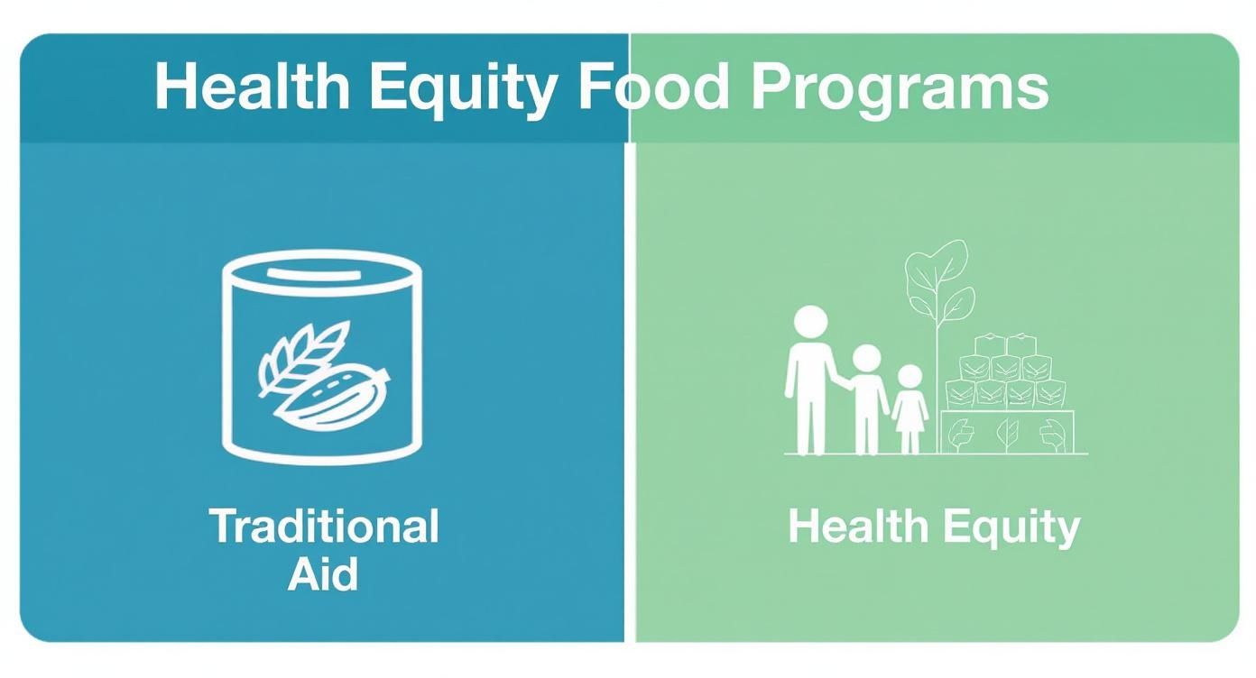 Health Equity Food Programs: A Guide to Building Dignified, Accessible ...