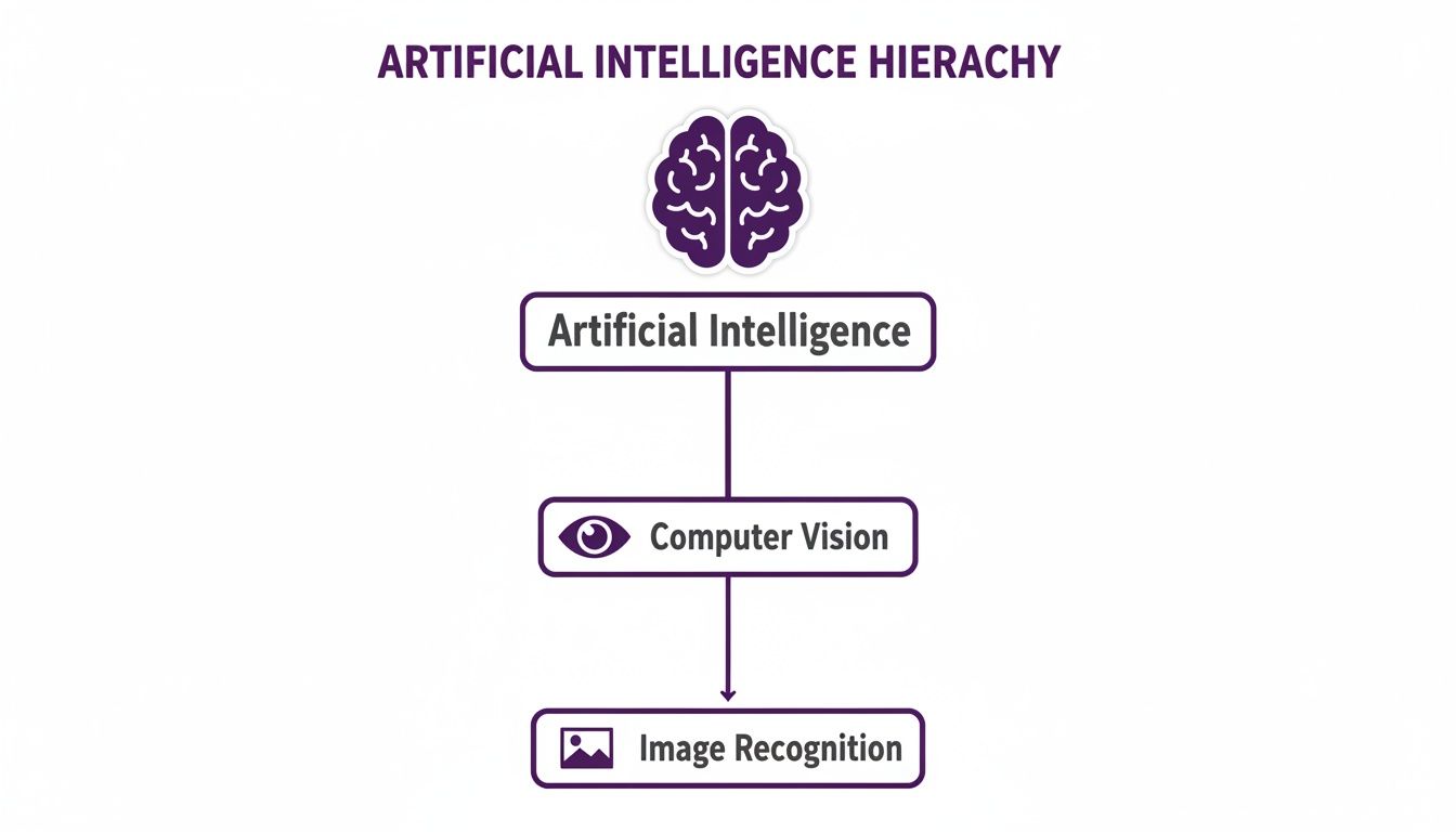 A Practical Guide to Image Recognition Software | AI Image Detector