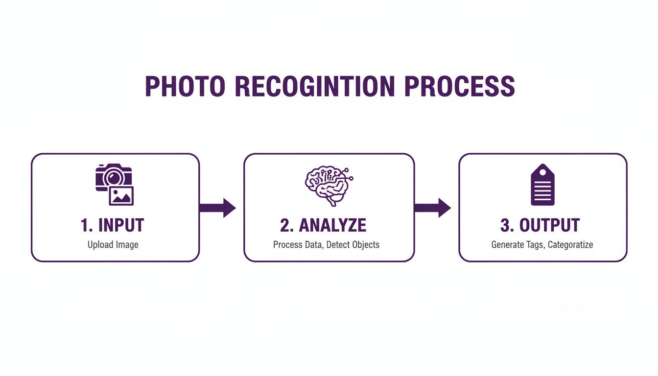 How Photo Recognition Software Actually Works | AI Image Detector