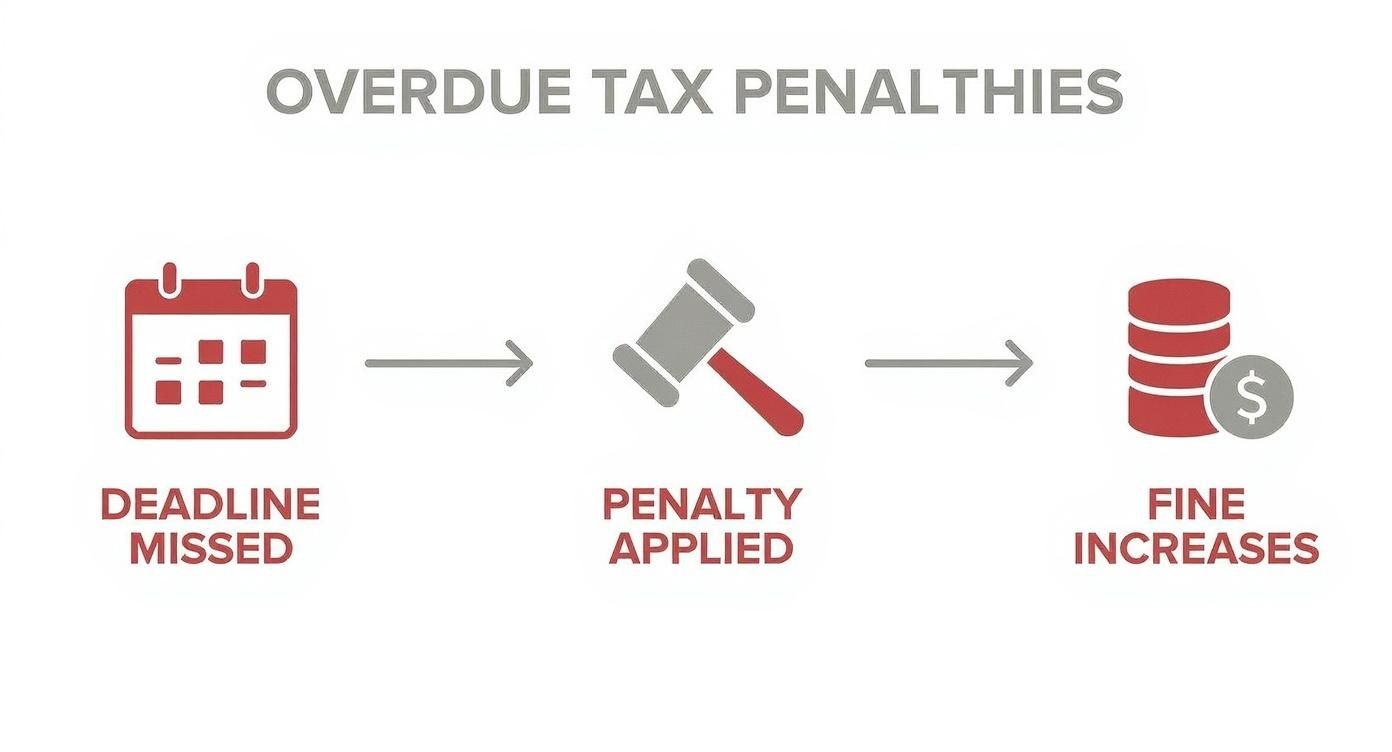 Guide to Overdue Tax Return Penalty Relief