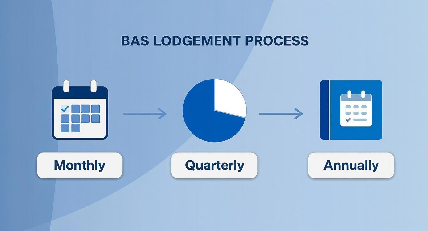 What Is BAS in Accounting Explained for Business Owners