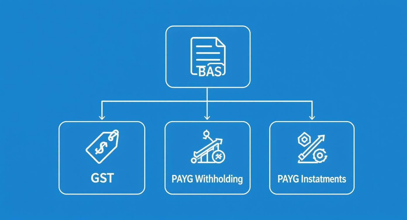 What is bas statement: A quick BAS guide