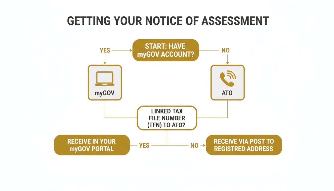 How to Get Notice of Assessment: how to get notice of assessment made easy