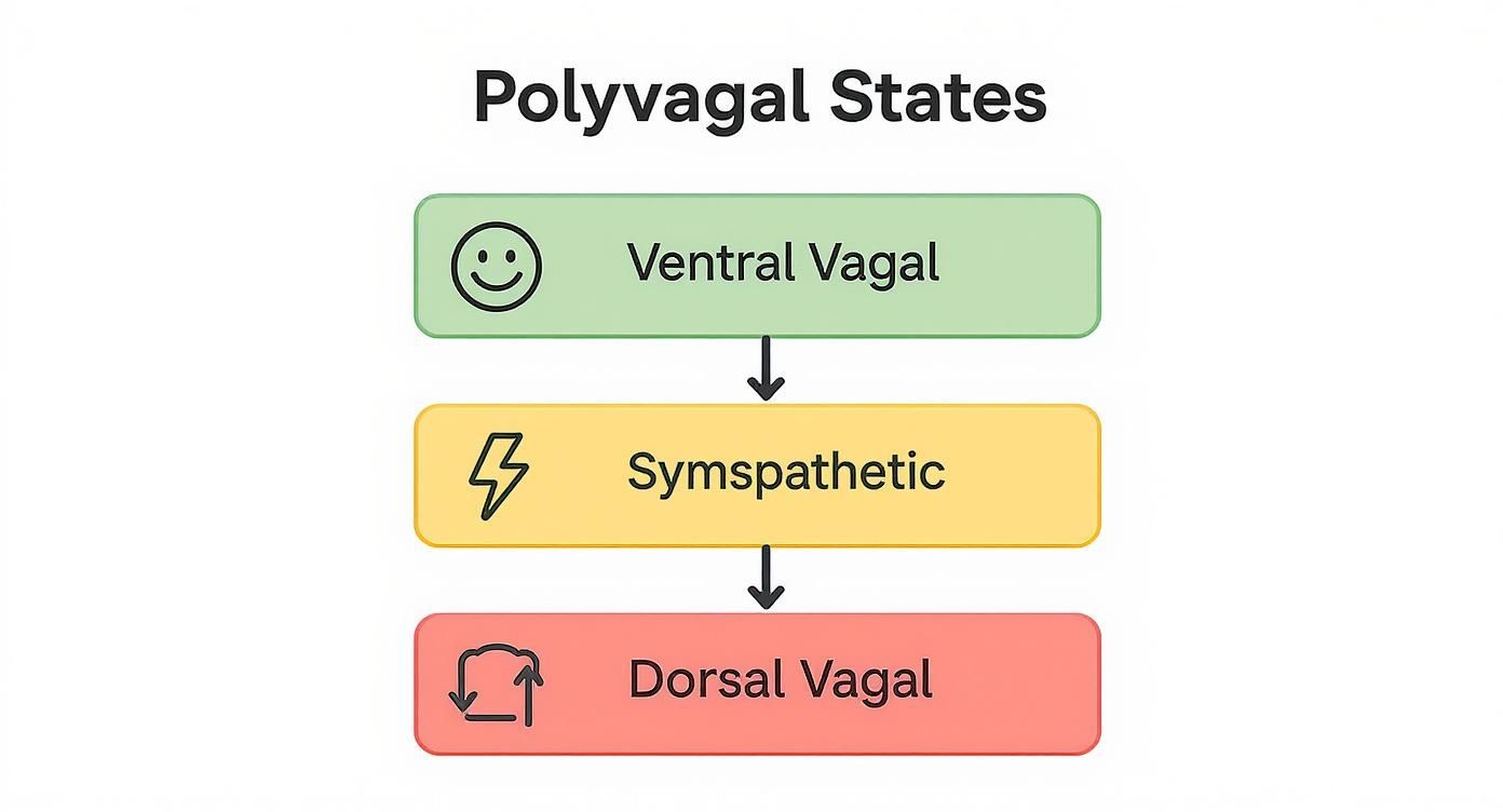 polyvagal theory exercises: Quick Calm Techniques for Relief