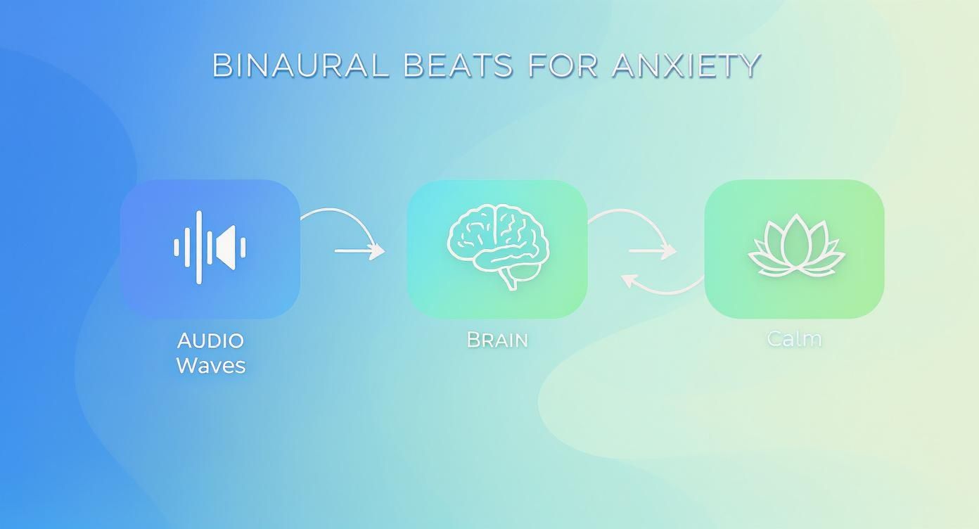 Binaural Beats for Anxiety: A Practical Guide