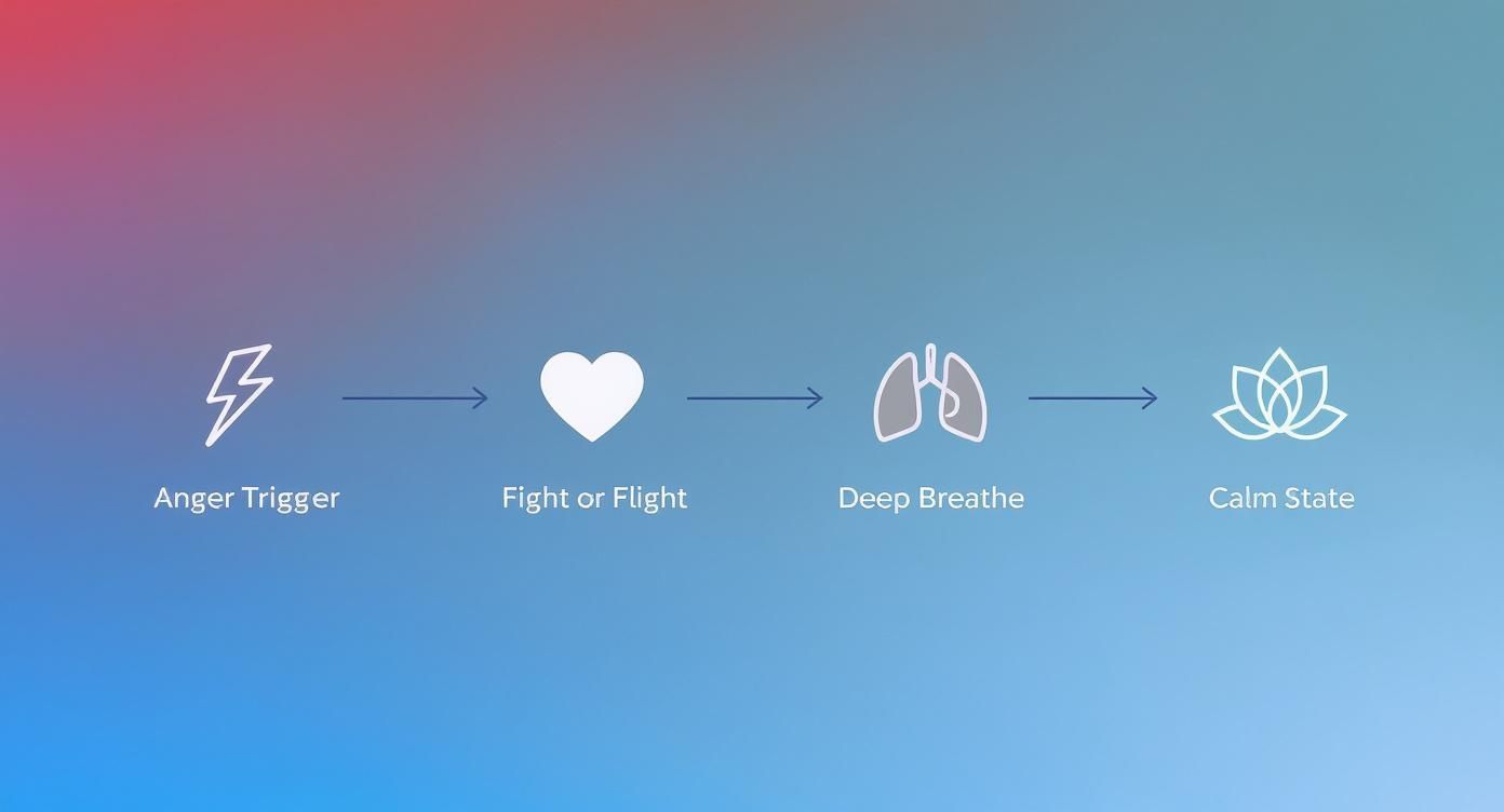 Breathing Exercises for Anger Management That Work